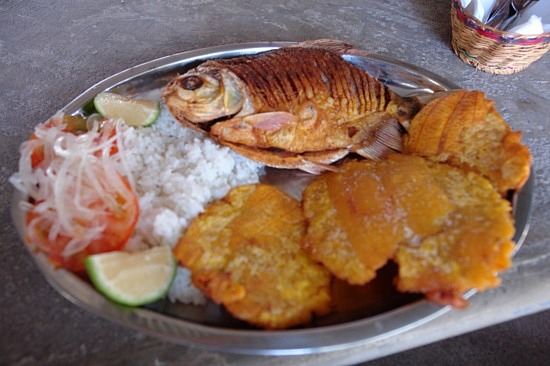 **MI QUERIDA ARAUCA***